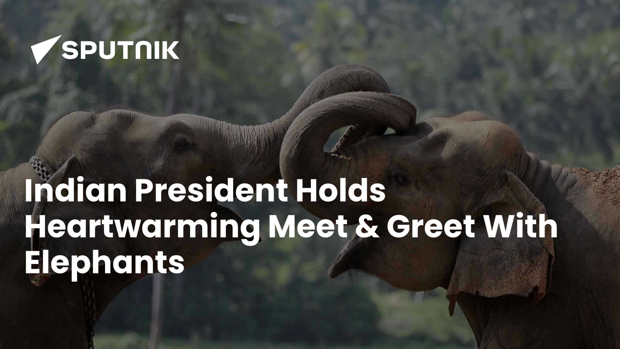 Indian President's Meet & Greet With Giant Jumbos At Gaj Utsav Wins Hearts