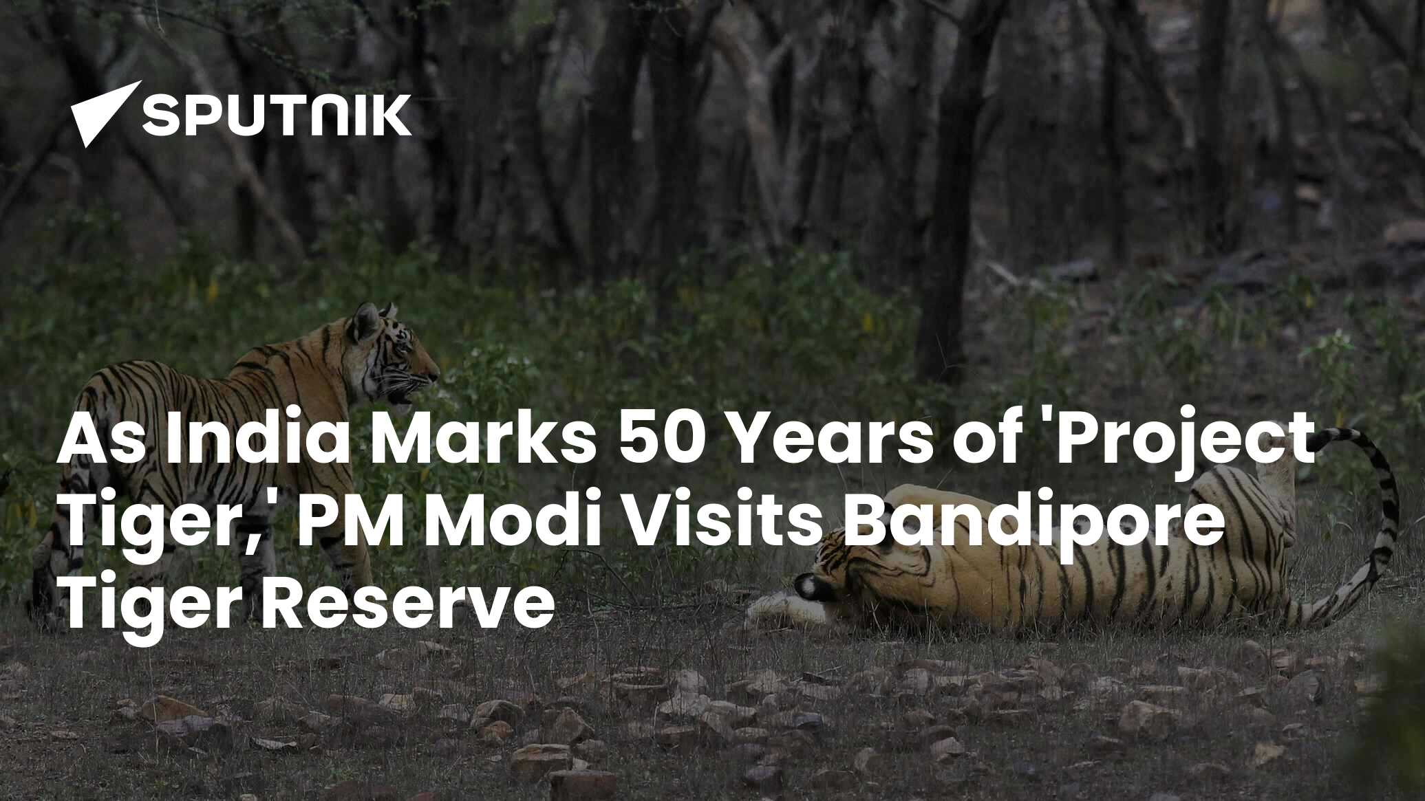 As India Marks 50 Years of 'Project Tiger,' PM Modi Visits Bandipore ...