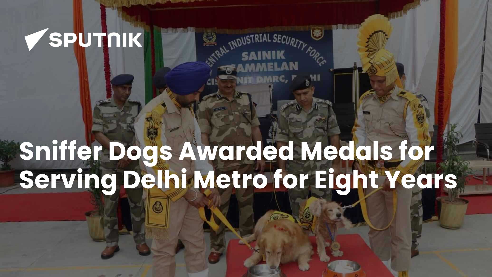 Indian Sniffer Dogs Awarded Medals, Treats For Serving Delhi Metro for ...