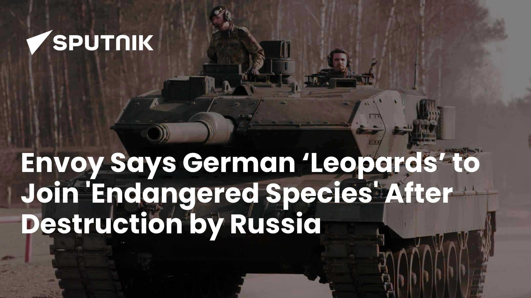 Envoy Says German ‘Leopards’ to Join 'Endangered Species' After ...