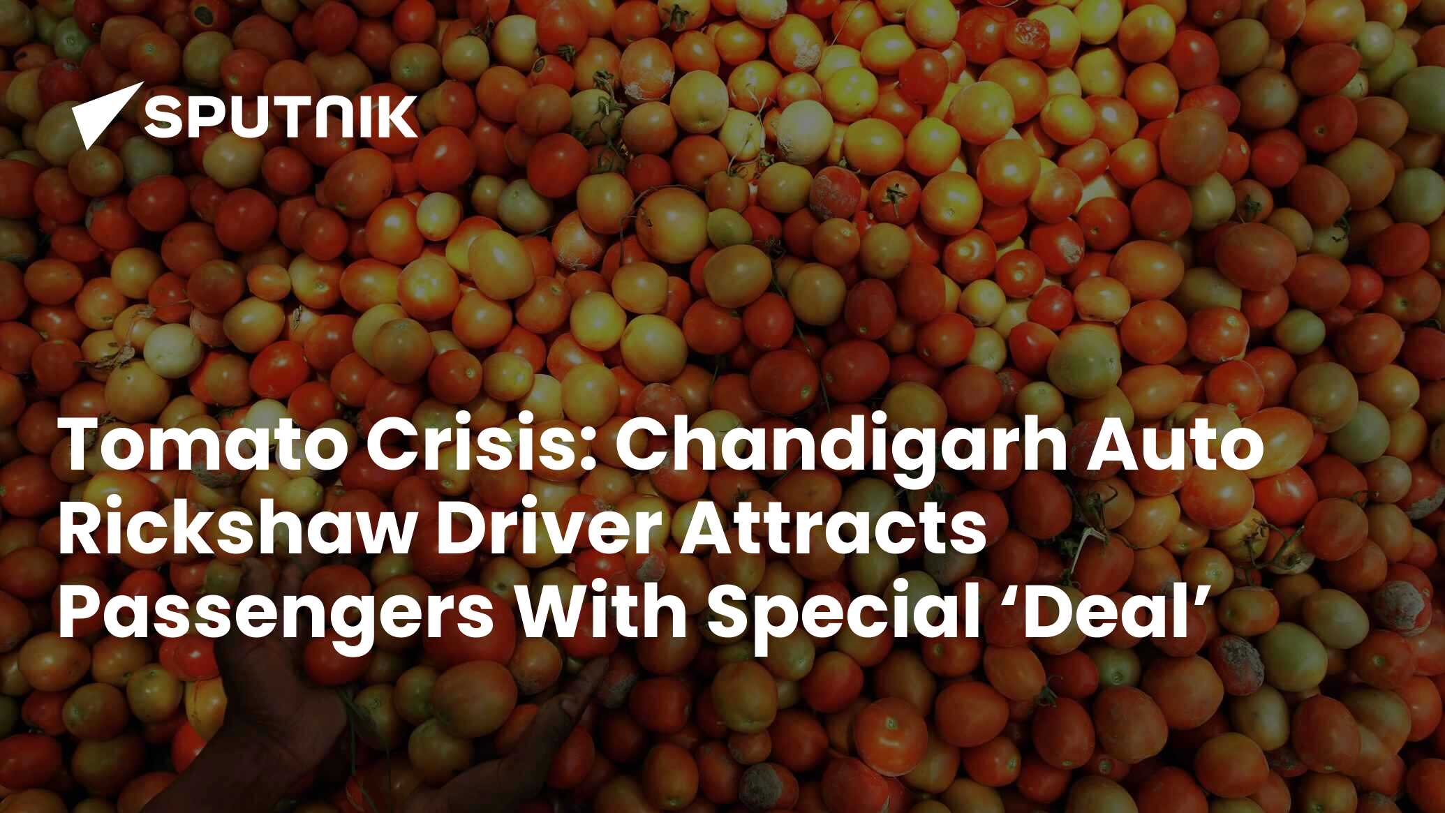 Tomato Crisis: Chandigarh Auto Rickshaw Driver Attracts Passengers With ...