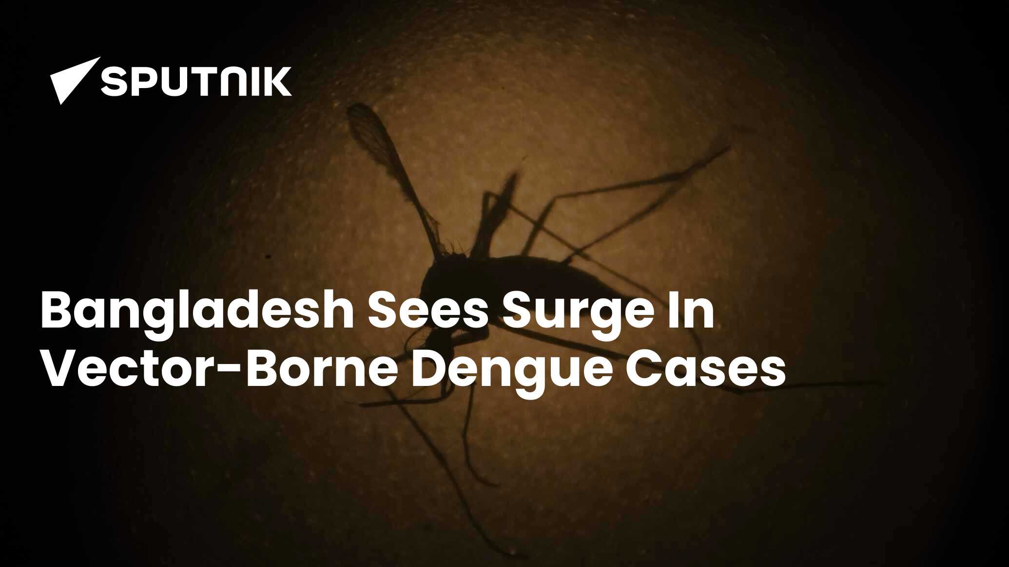 Bangladesh Sees Surge In Vector Borne Dengue Cases