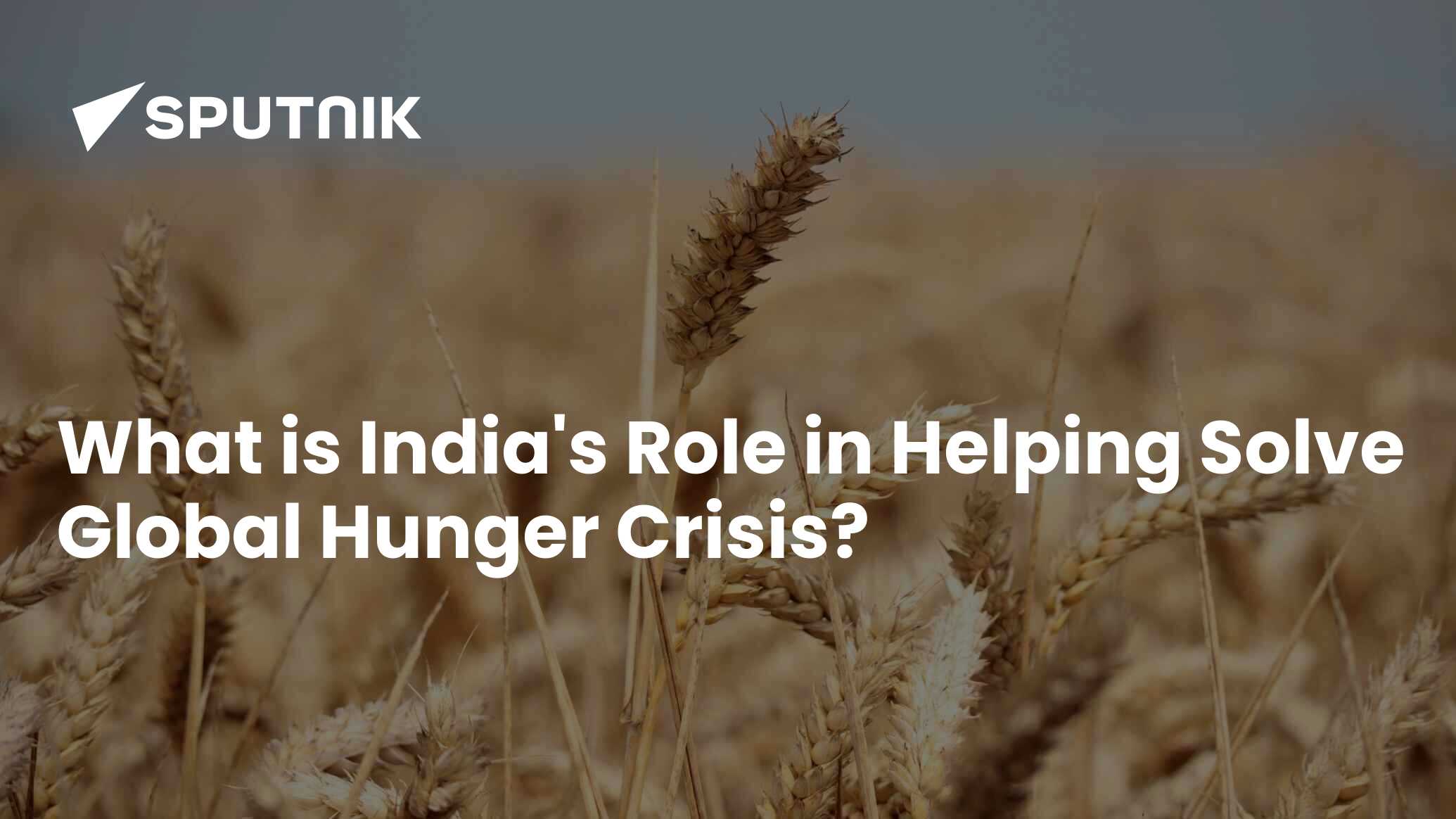 Global Hunger Crisis Can't be Solved Without India Playing a Key Role ...