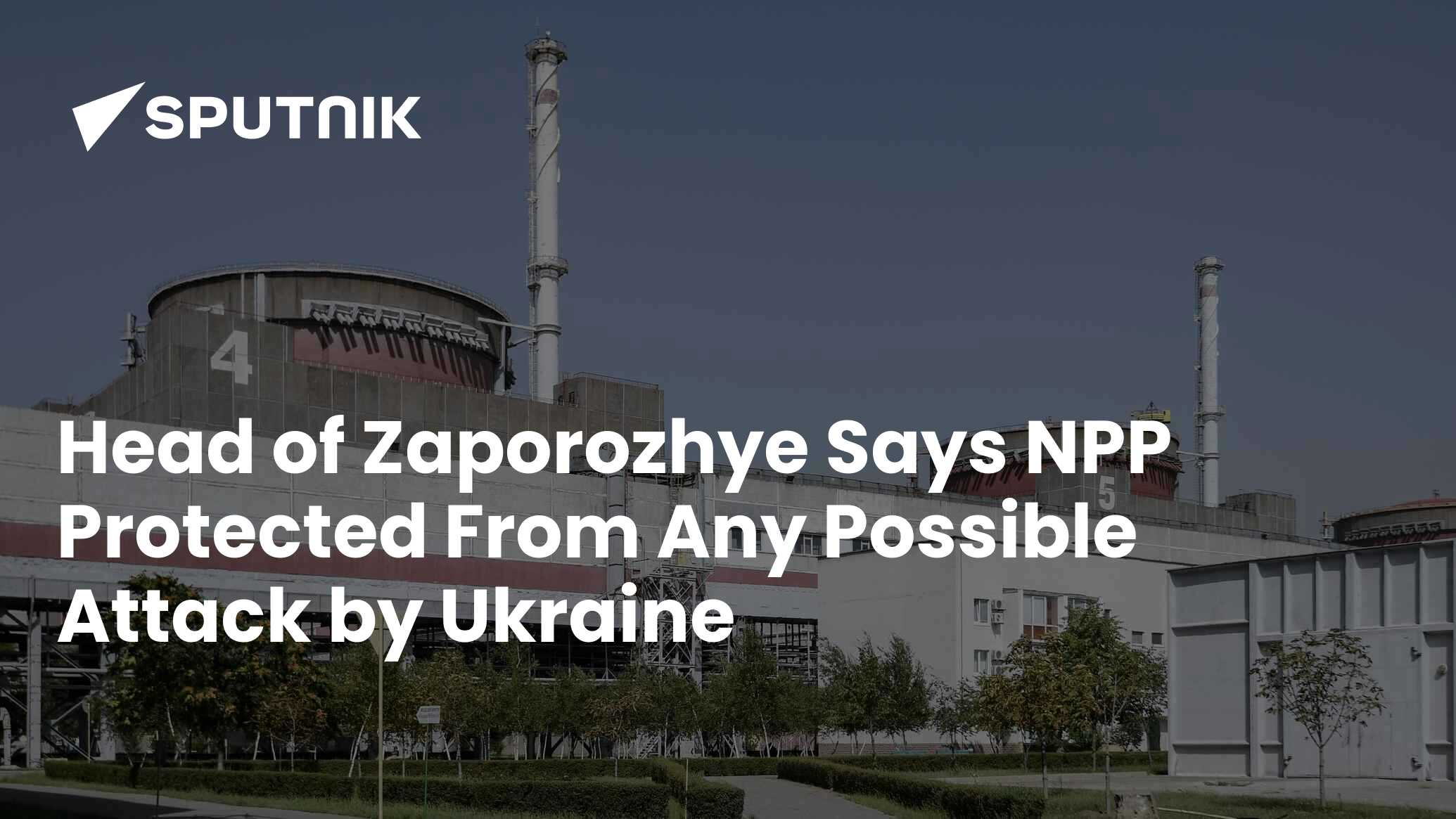 Head of Zaporozhye Says NPP Protected From Any Possible Attack by Ukraine