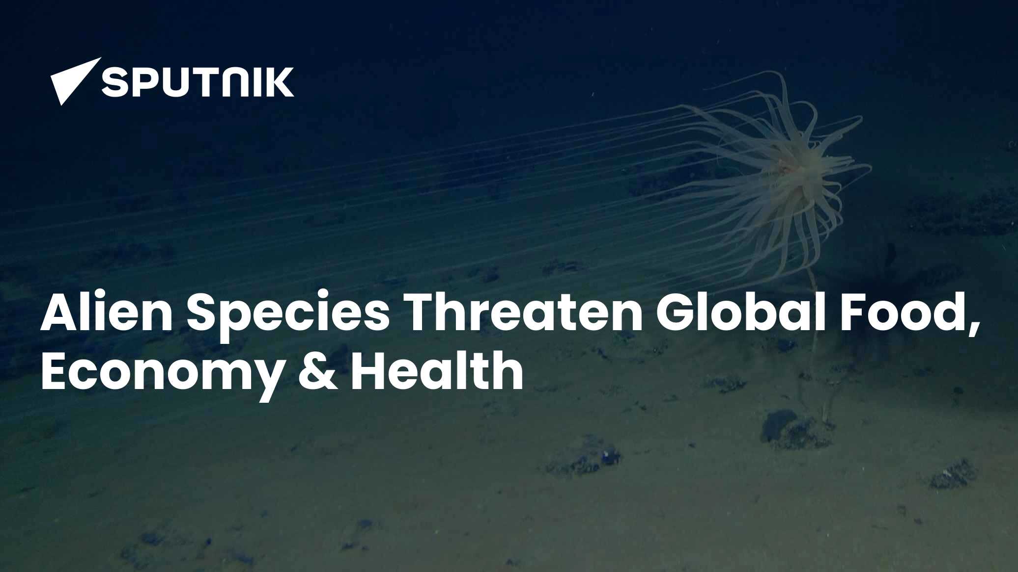 Alien Species Threatens Global Food, Economy & Health