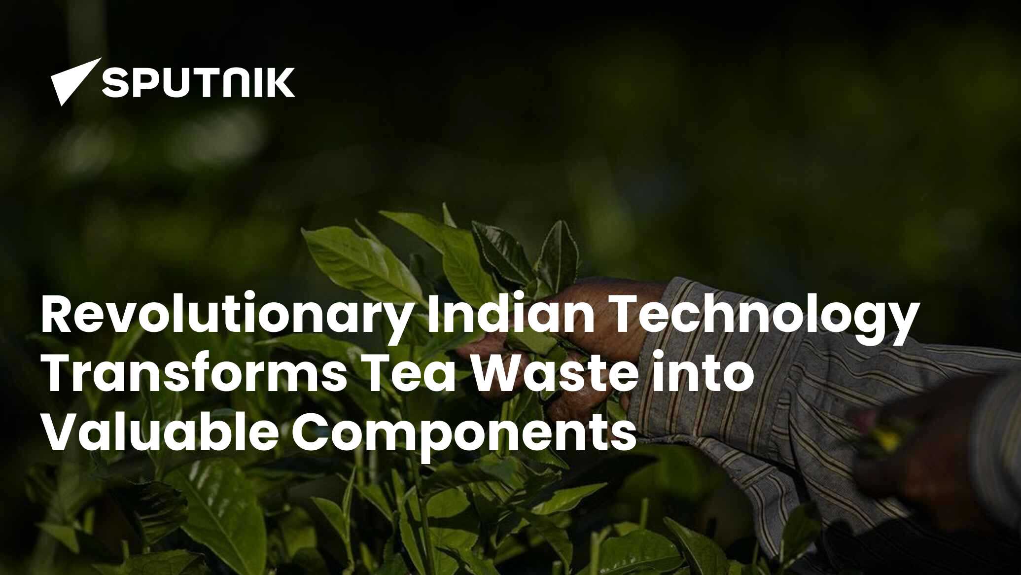 Revolutionary Indian Technology Transforms Tea Waste into Valuable ...