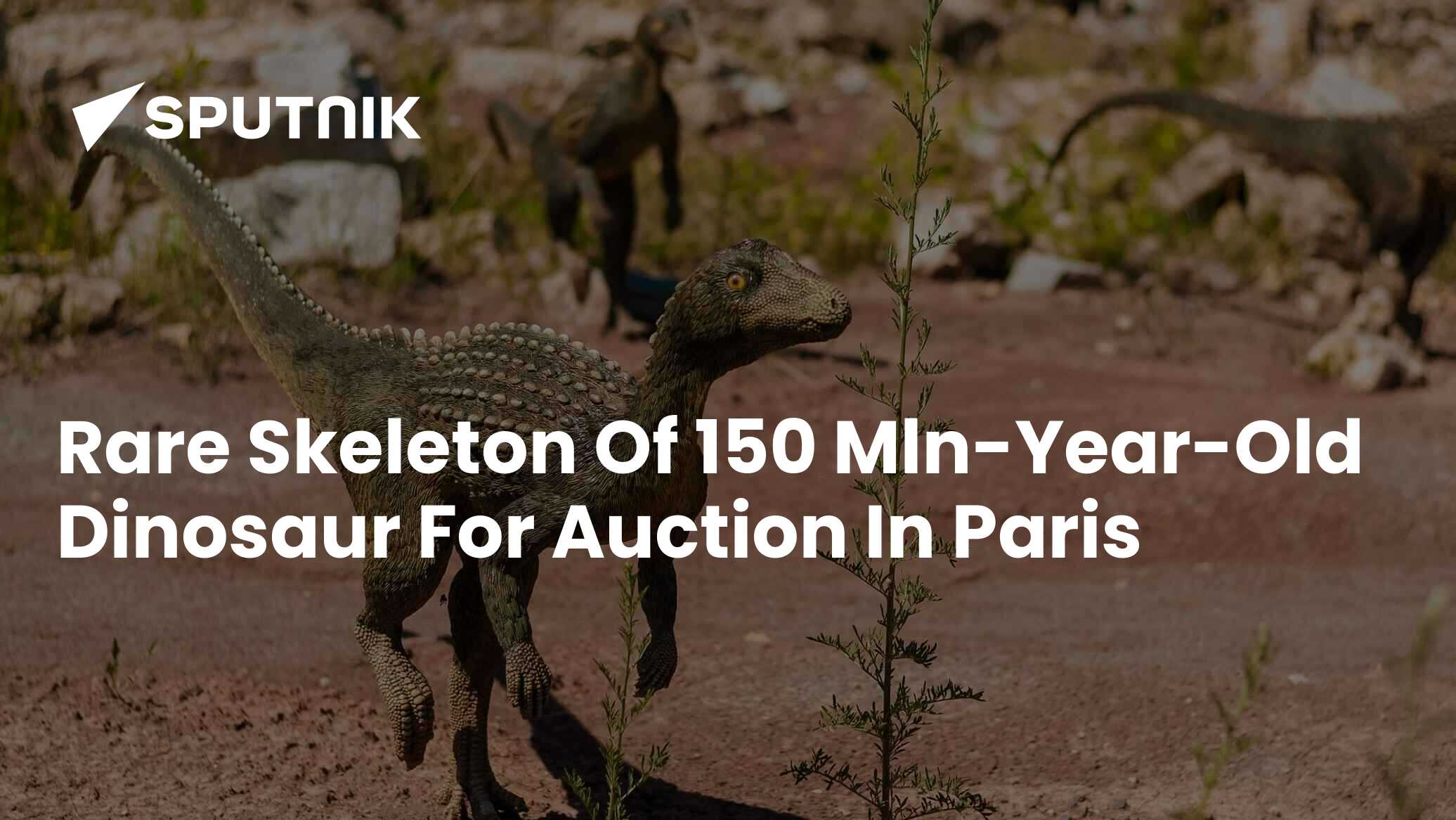 150-Year-Old Rare Dinosaur Barry's Skeleton Up for Sale at Paris Auction
