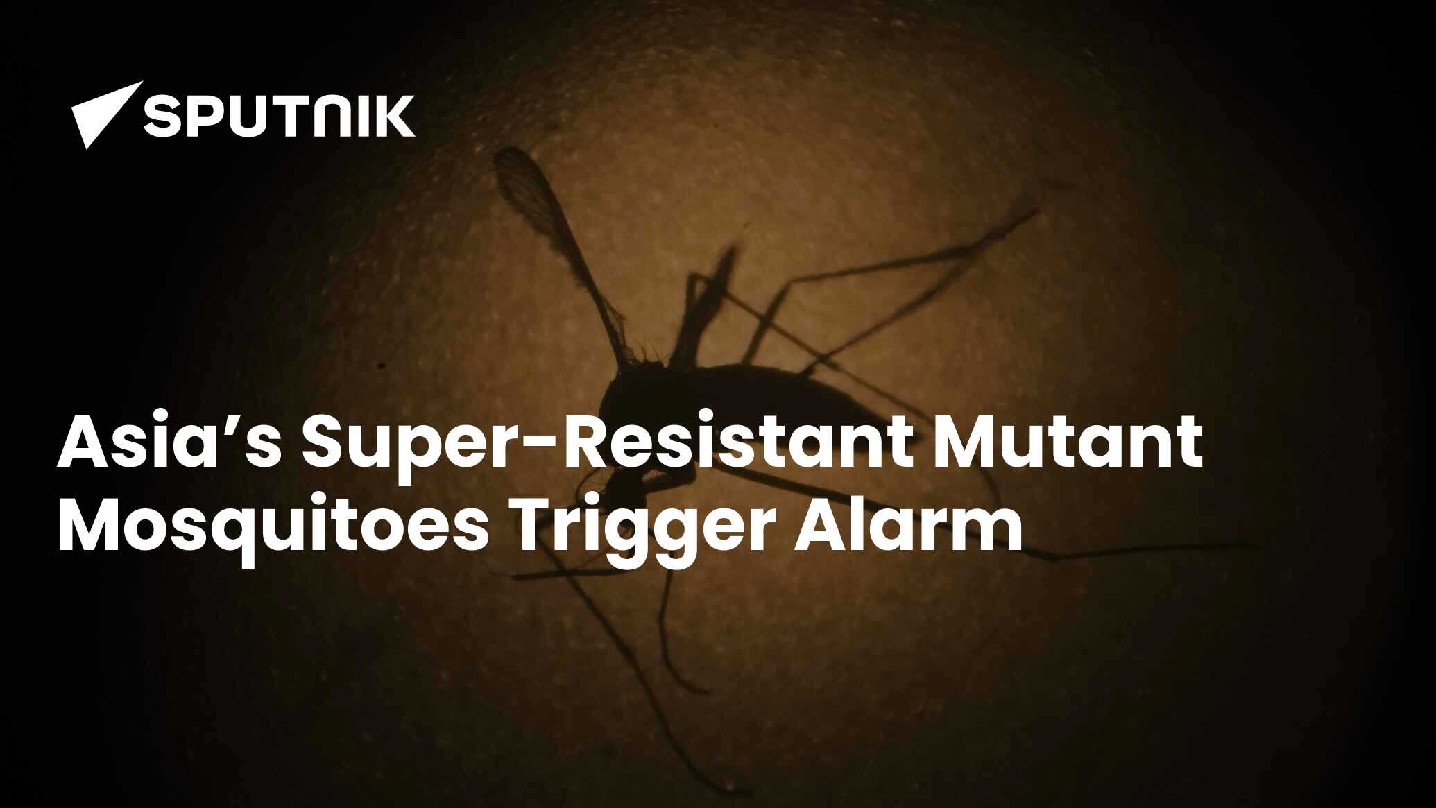 Asia’s Super-Resistant Mutant Mosquitoes Trigger Alarm