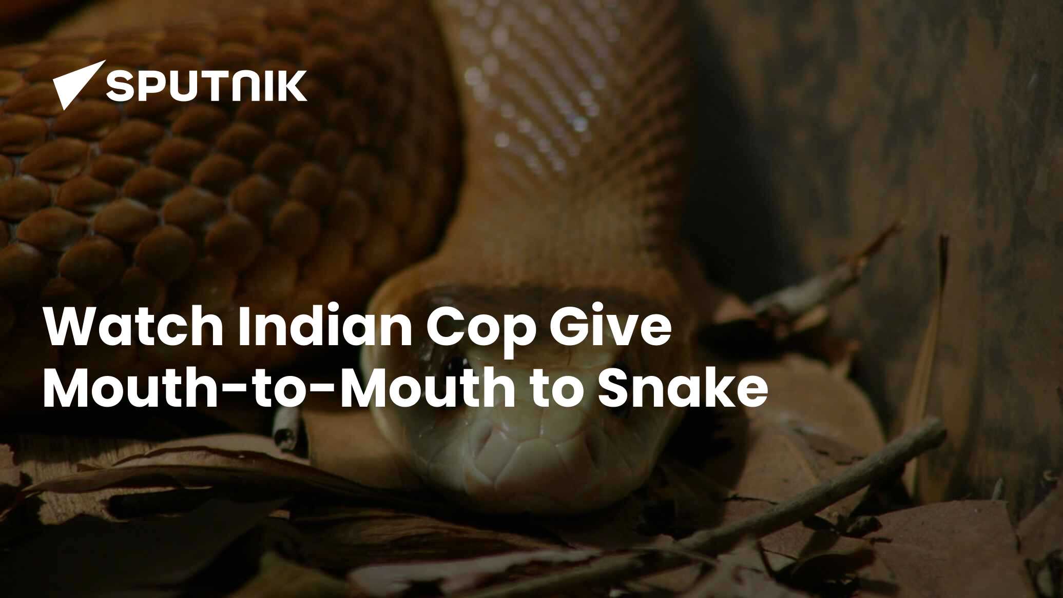 Watch Indian Cop Give Mouth-to-Mouth to Snake