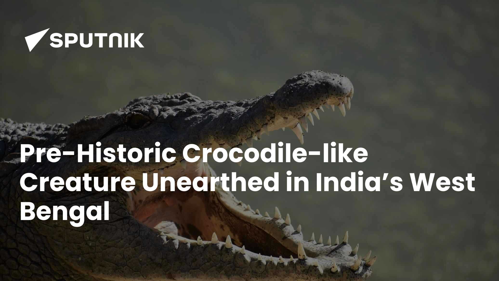 Pre-Historic Crocodile-like Creature Unearthed in India’s West Bengal