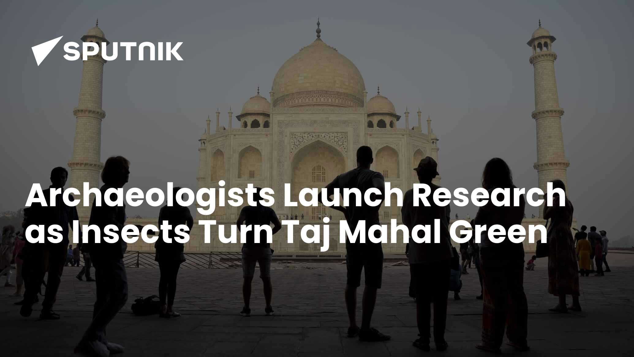 Archaeologists Launch Research as Insects Turn Taj Mahal Green