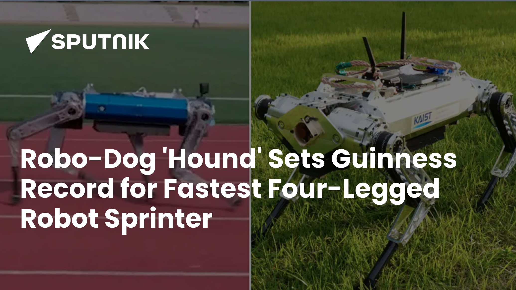 Robo-Dog 'Hound' Sets Guinness Record for Fastest Four-Legged Robot ...