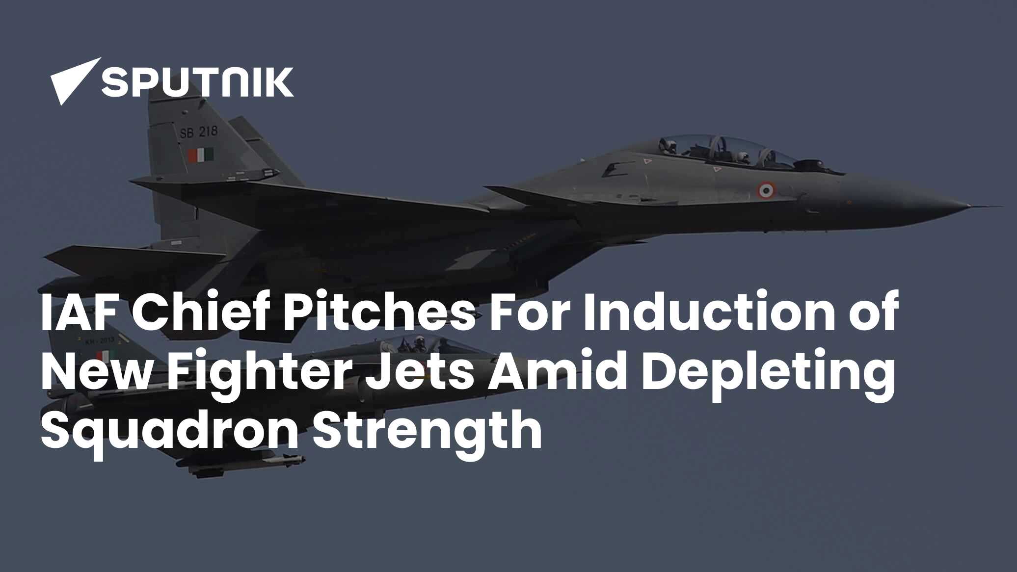 IAF Chief Pitches For Induction of New Fighter Jets Amid Depleting ...