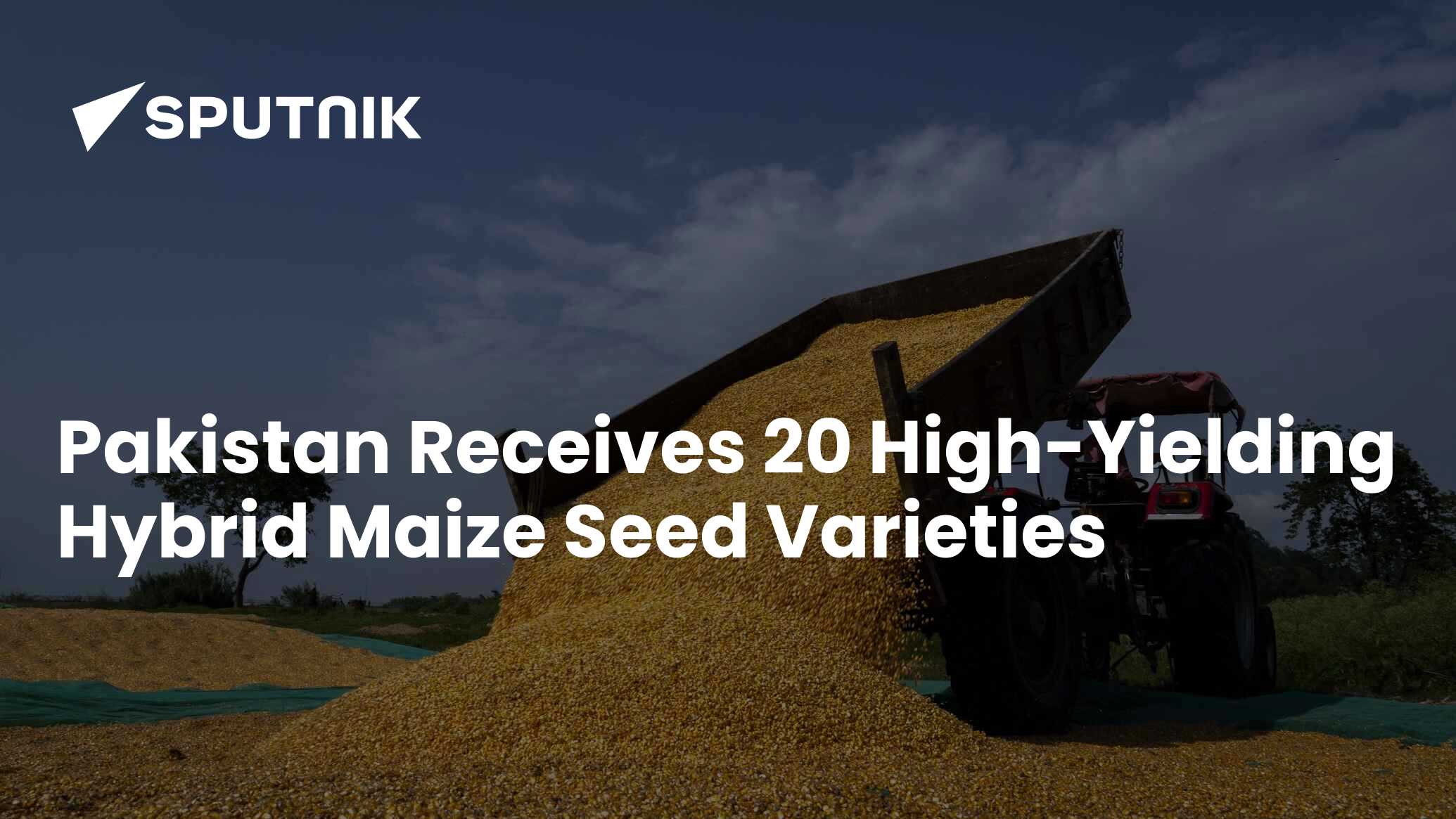 Pakistan Receives 20 High-Yielding Hybrid Maize Seed Varieties