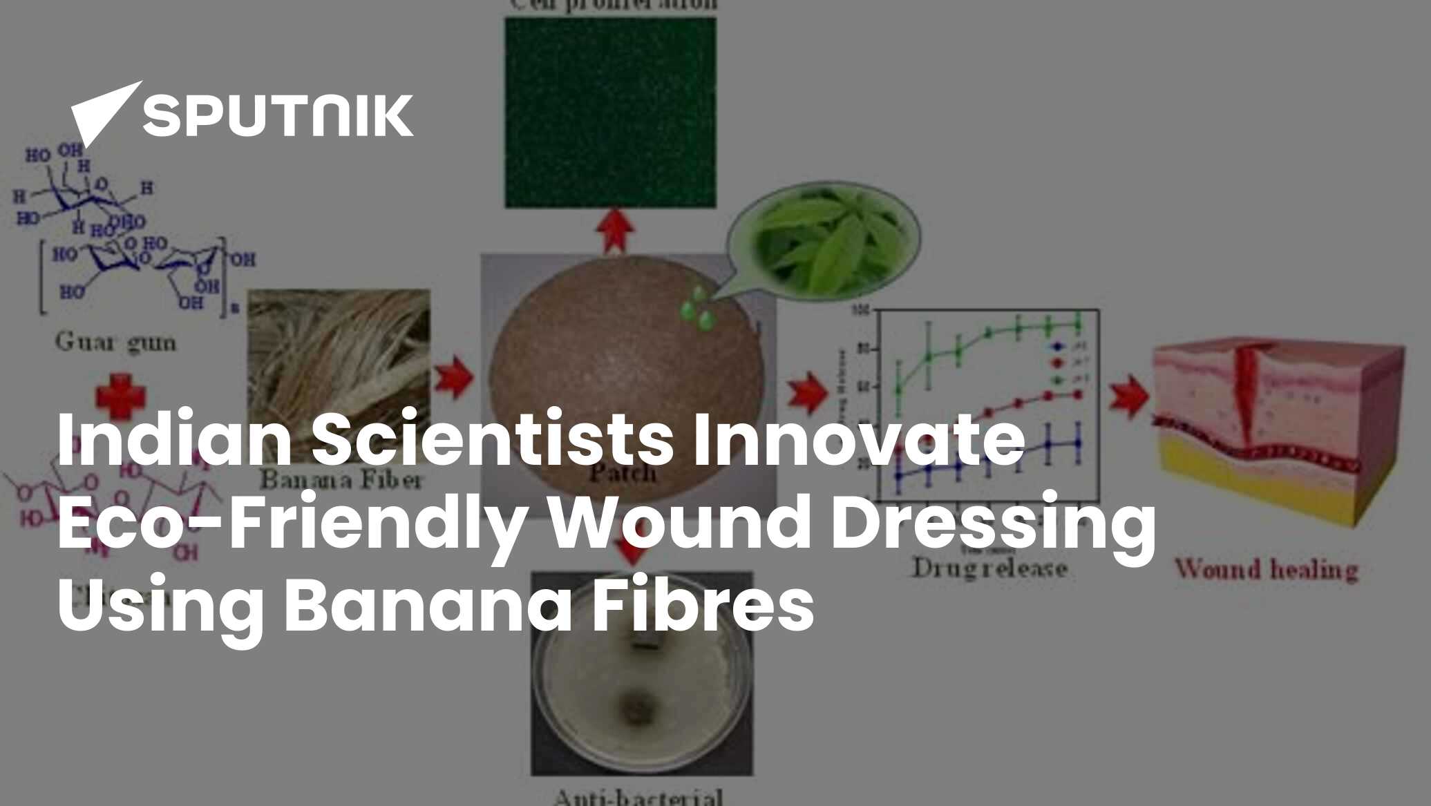 Indian Scientists Innovate Eco-Friendly Wound Dressing Using Banana Fibres