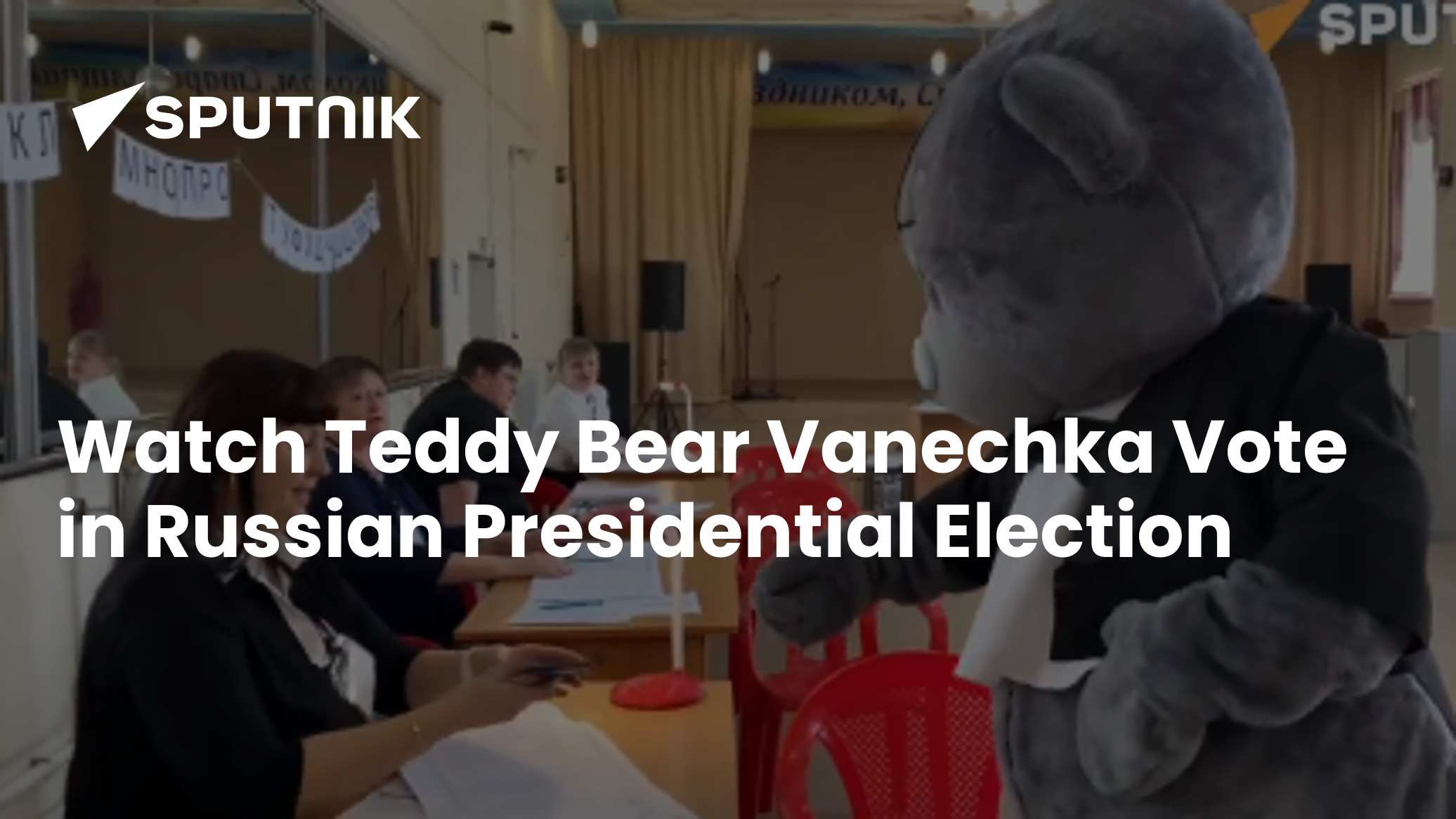 Watch Teddy Bear Vanechka Vote in Russian Presidential Election