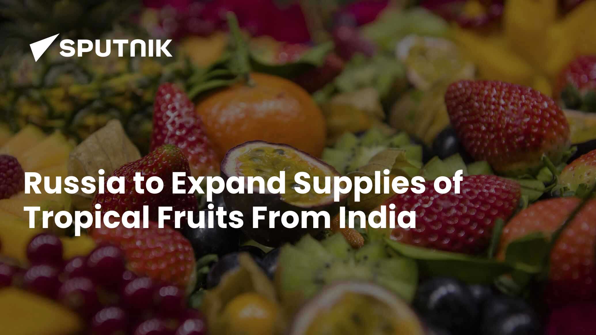 Russia to Expand Supplies of Tropical Fruits from India