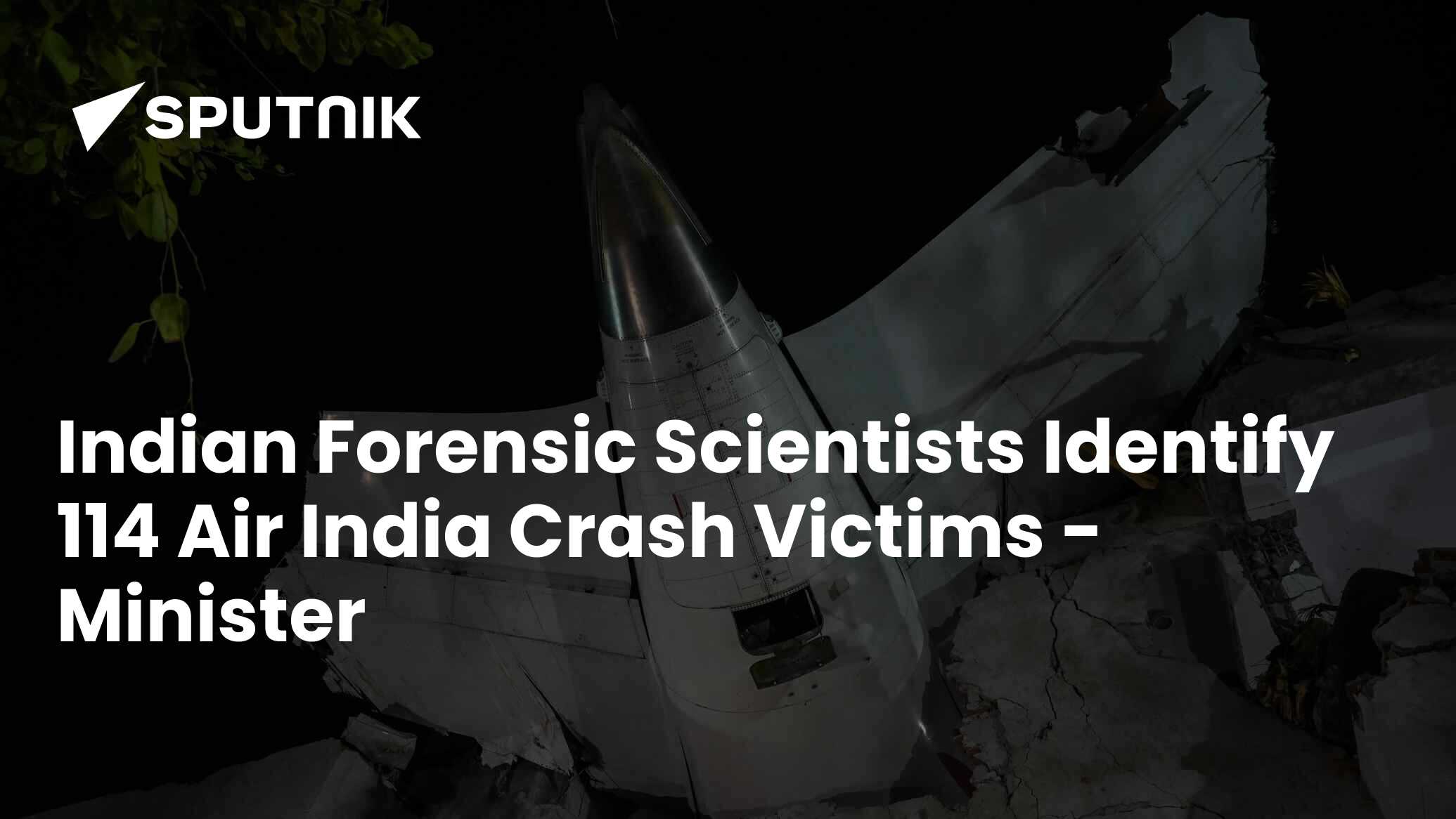 Indian Forensic Scientists Identify 114 Air India Crash Victims ...