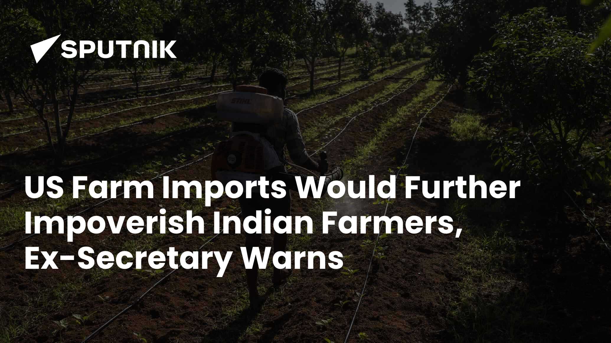 US Farm Imports Would Further Impoverish Indian Farmers, Ex-Secretary