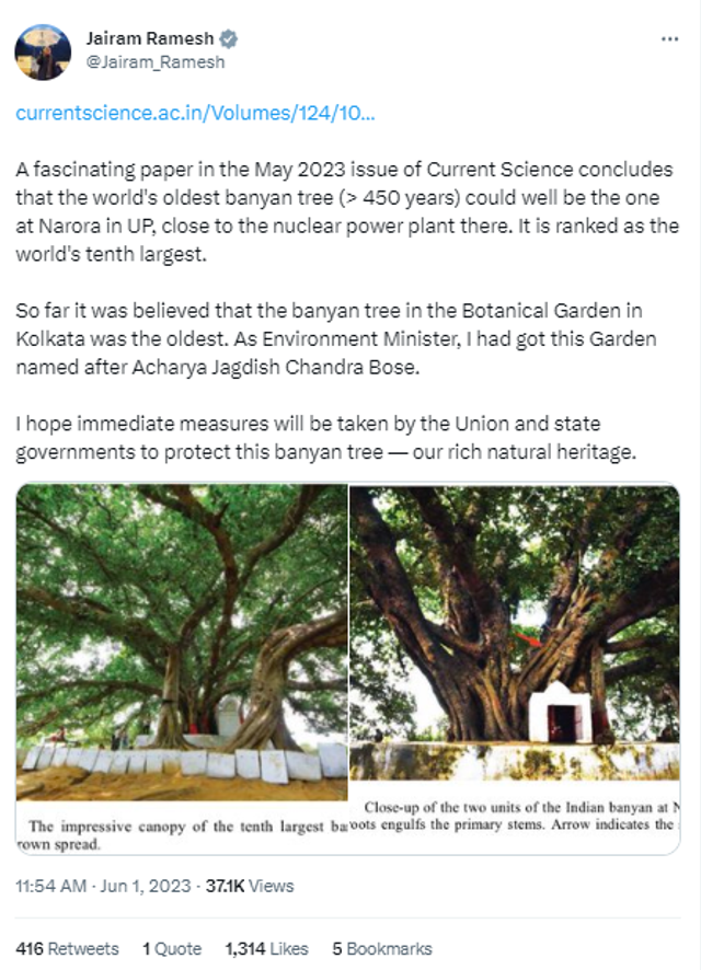 500-Year-Old Banyan Tree in India's Uttar Pradesh Declared World's Oldest