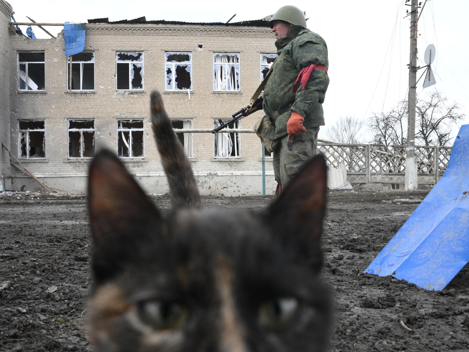 Furry Feline Companions for Russia's Special Op Soldiers