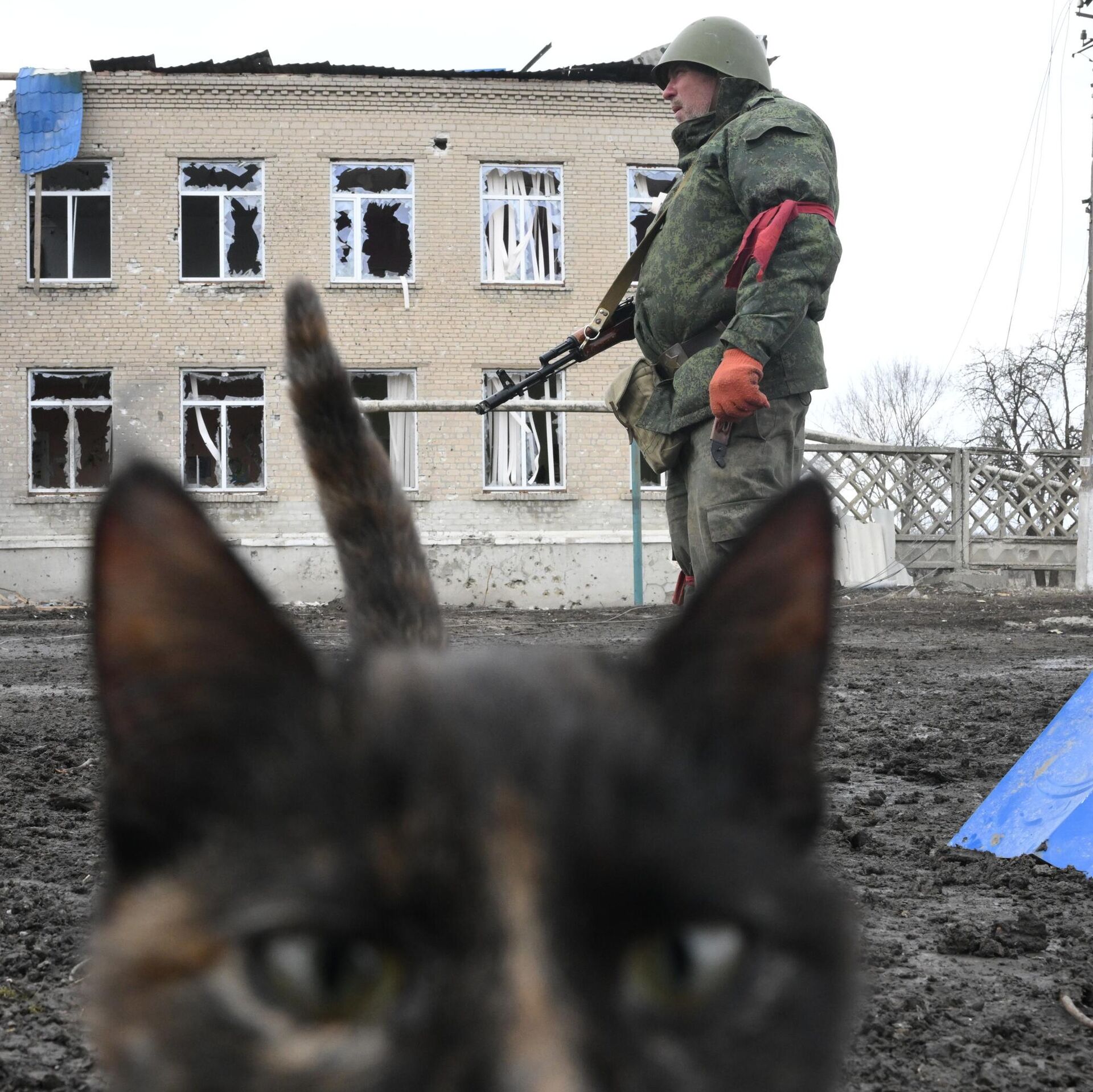 Furry Feline Companions for Russia's Special Op Soldiers