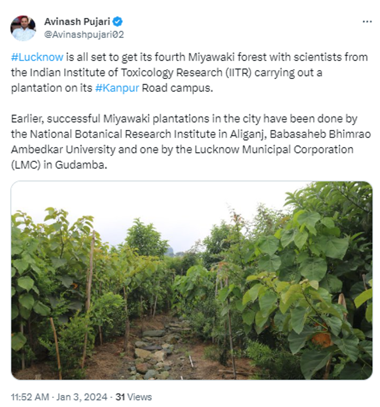 Lucknow Launches Fourth Urban Reforestation Project Using 'Miyawaki' Technique